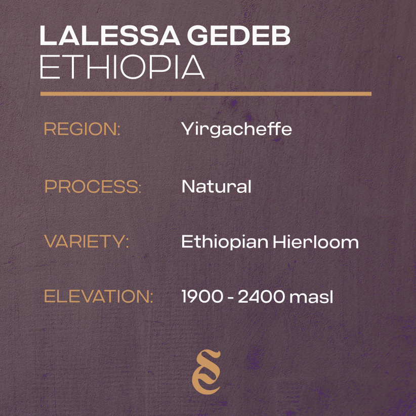 Shop All – Sodality Coffee